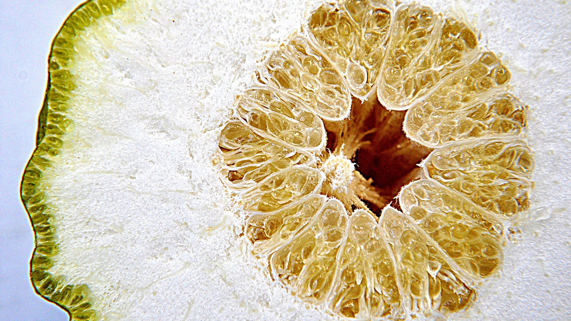 Ricette antispreco da non buttare | Riciblog